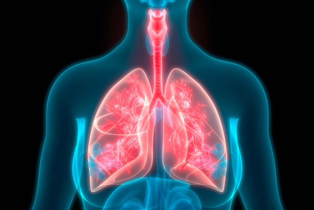 Quand et comment orienter vos patients vers notre « Centre de ...